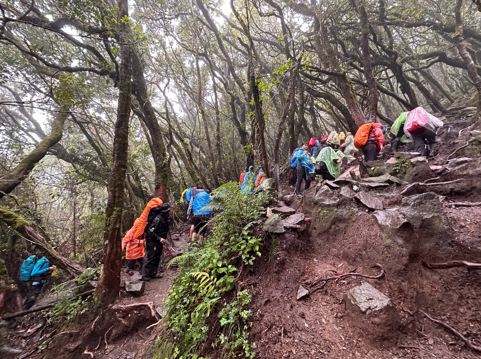 Gunung Gede Tektok atau Camping?
